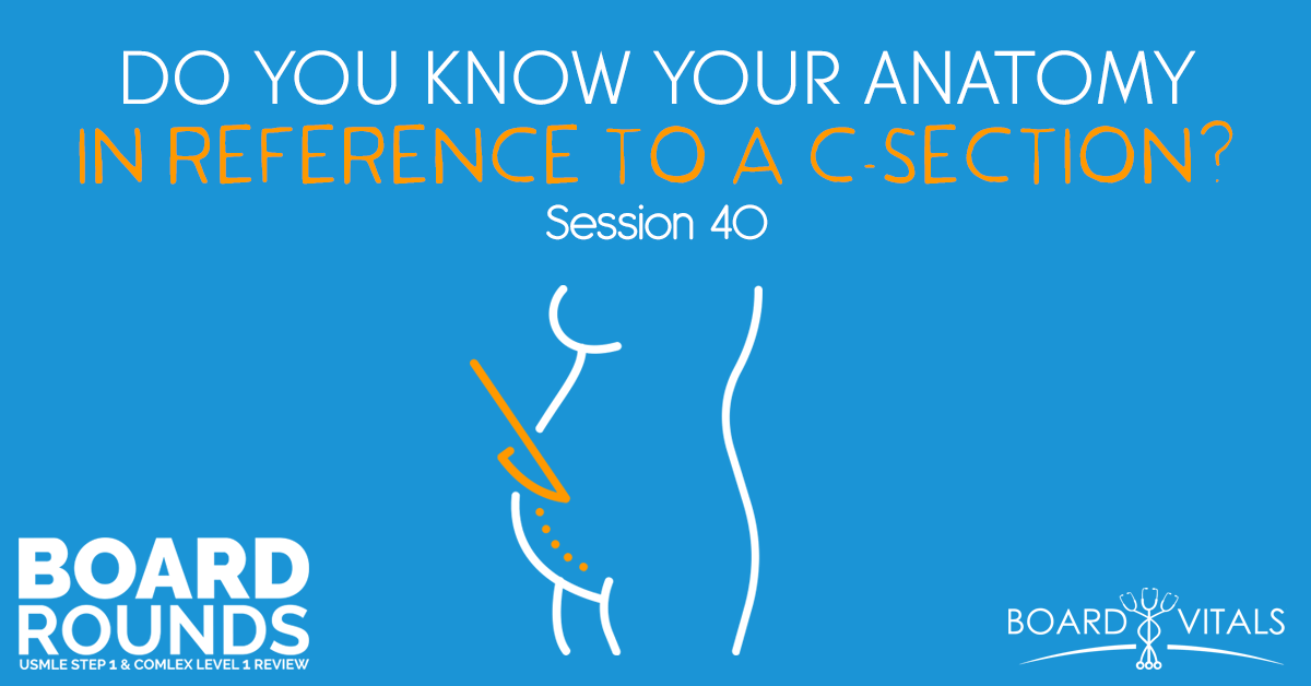 Do You Know Your Anatomy in Reference to a C-Section? - Medical School ...