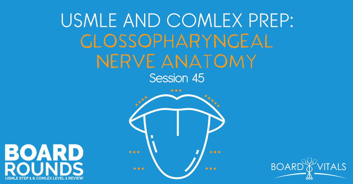 USMLE and COMLEX Prep: Glossopharyngeal Nerve Anatomy - Medical School ...