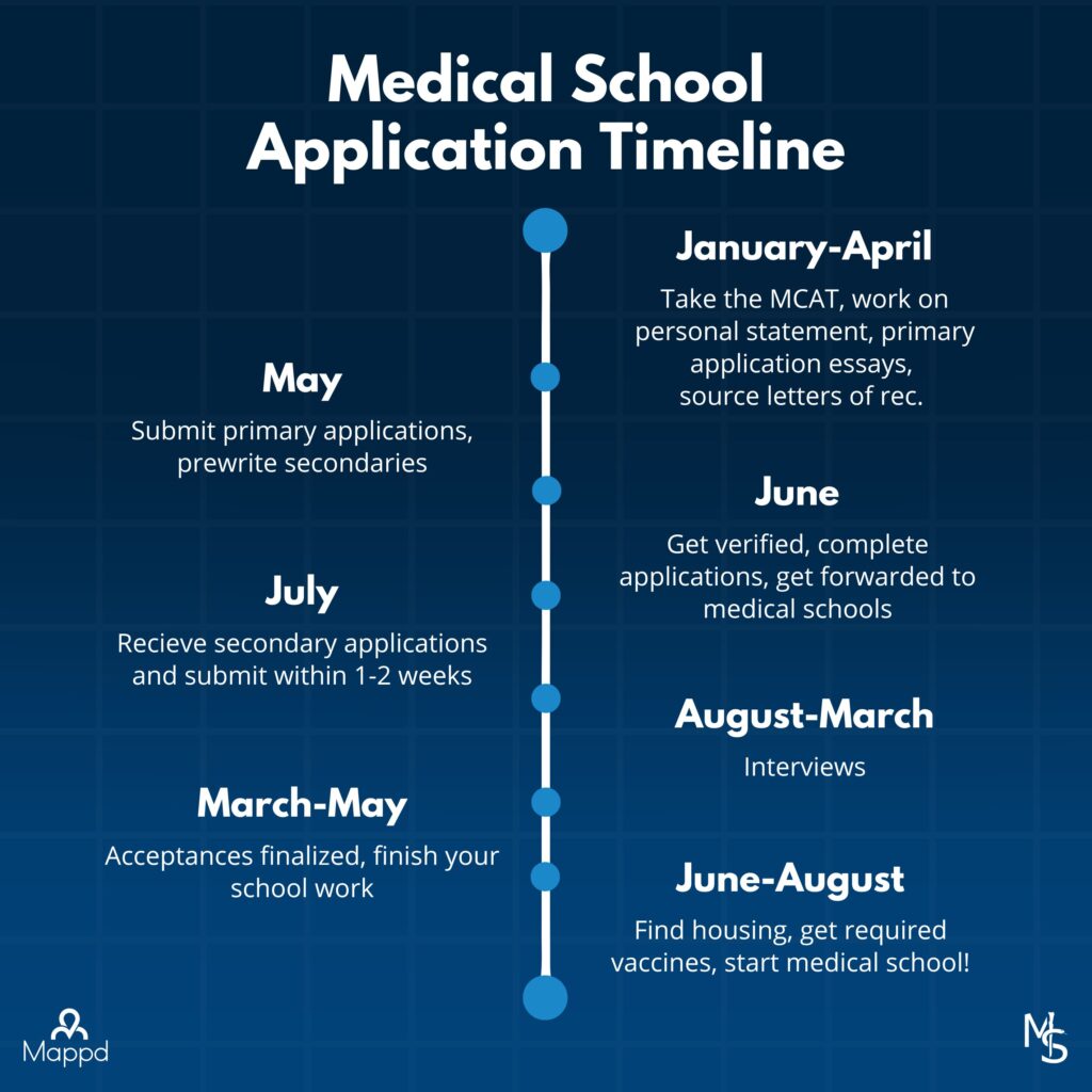 Medical School Application Guide: the Application Timeline (2025)